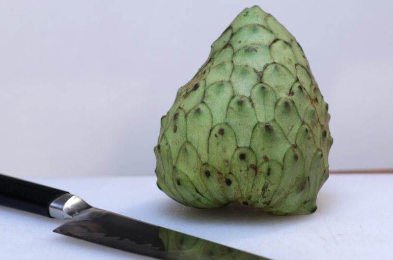 Does soursop taste like cherimoya?