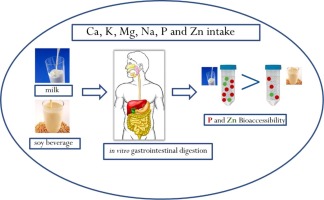 Does soy block zinc absorption?