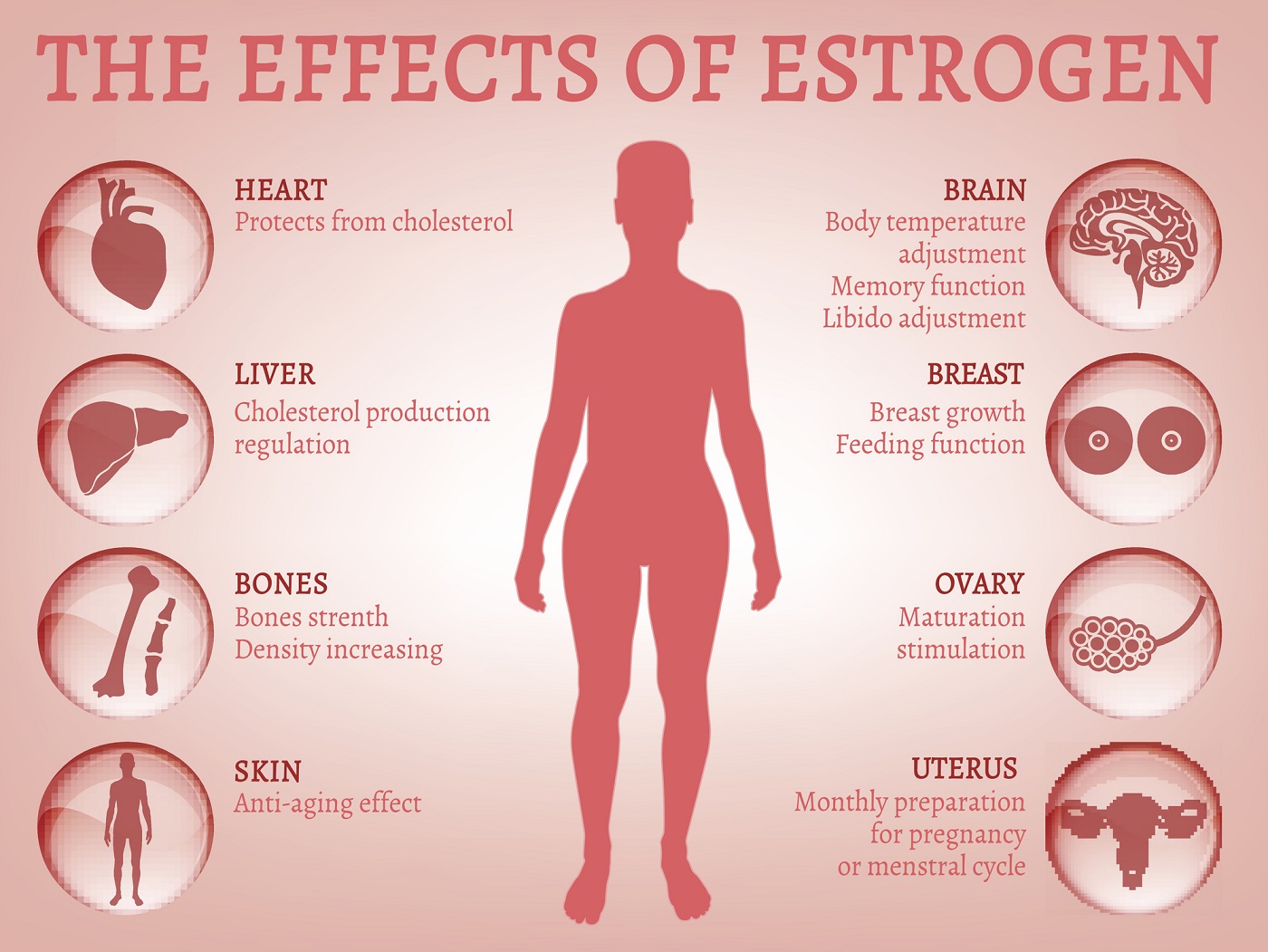 Does soy influence estrogen levels?