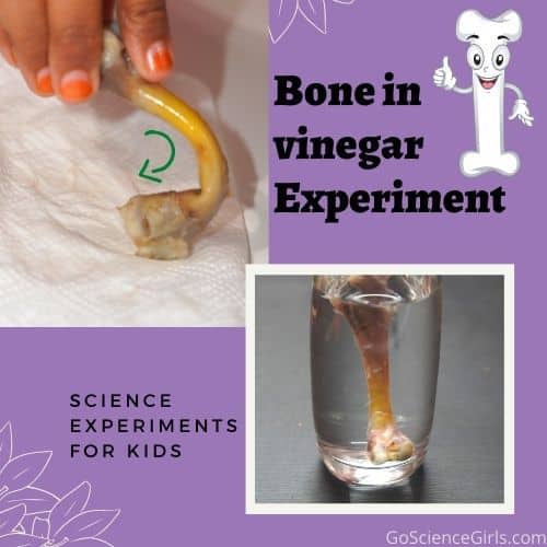 Does vinegar dissolve chicken bones?