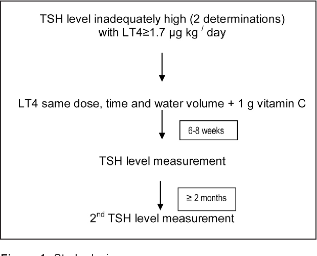 Does vitamin C help absorption of levothyroxine?