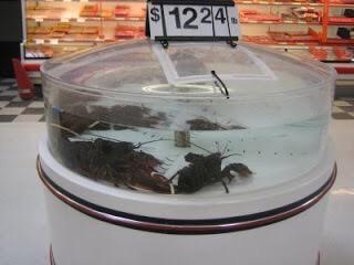 Does Walmart still have live lobsters?