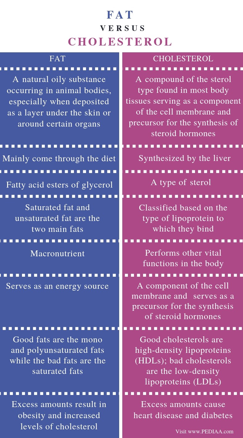 How are fat and cholesterol related?