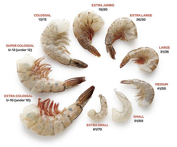 How are shrimp sizes determined?