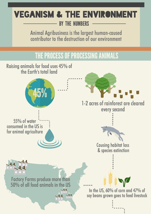 How are vegans destroying the planet?