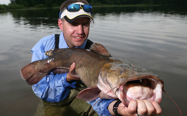 How big do catfish have to be in SC?