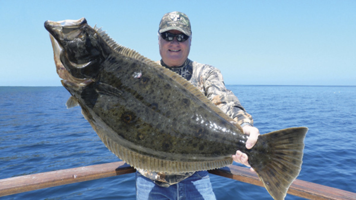 How big do halibut get in California?