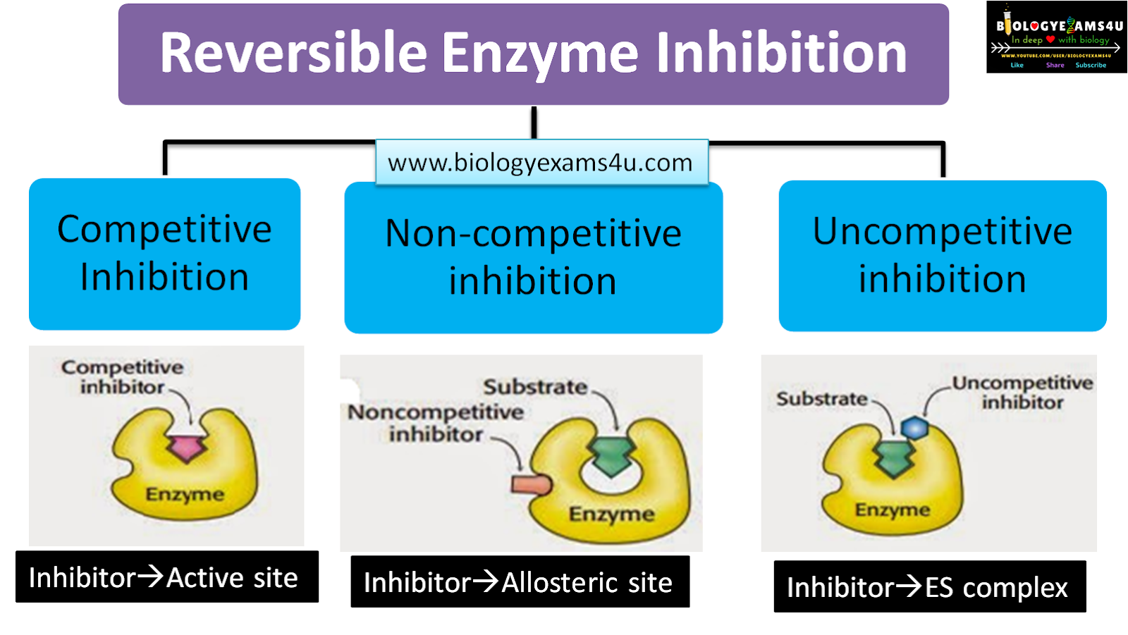 How can enzyme inhibitors be overcome?