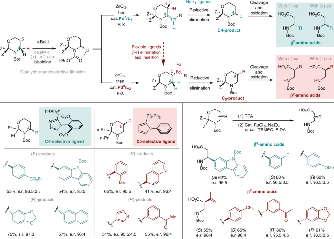 How can I get amino acids naturally?