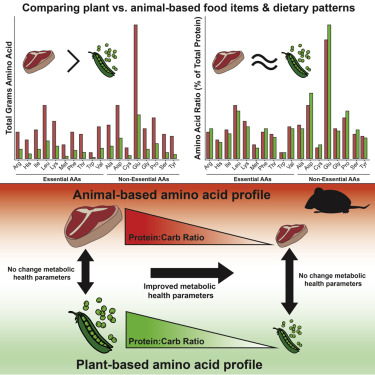 How can I get enough protein and calcium as an omnivore?