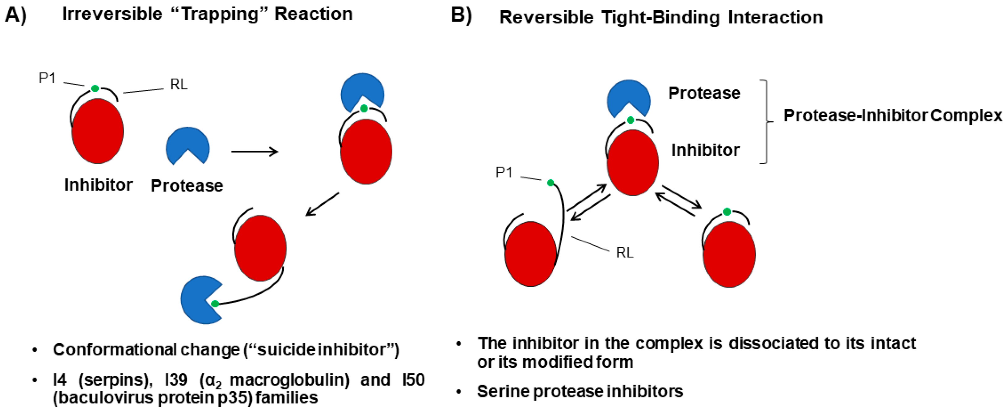 How can protease inhibitors be reduced from food?