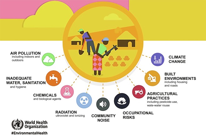 How can the lifestyle of individuals affect the environment?