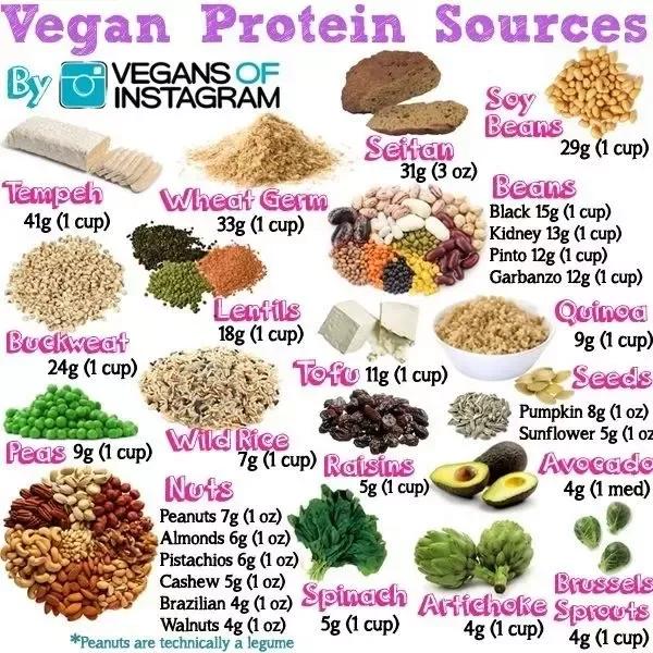 How can vegans get 100g of protein a day?
