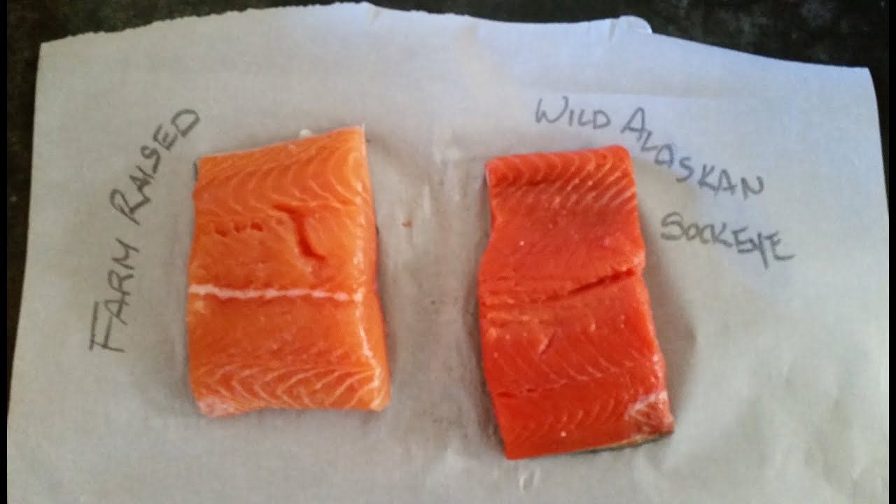 How can you tell if thawed salmon is bad?