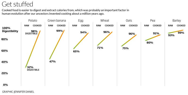 How did cooking meat start?