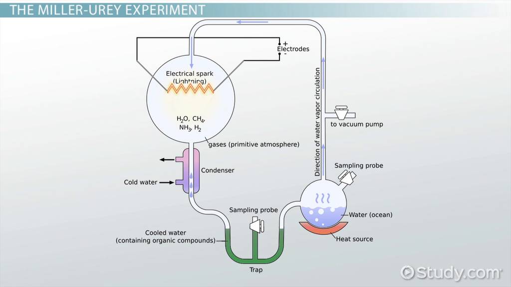 How did soup evolve over time?