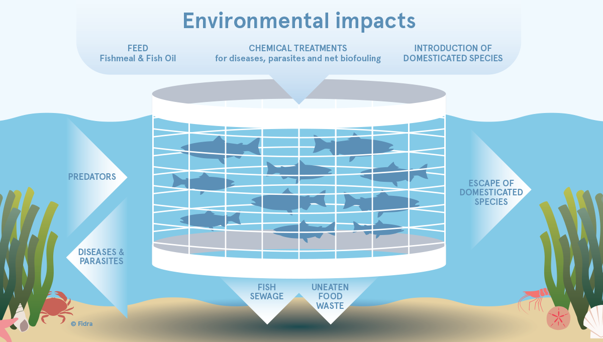 How do fish farms affect the ecosystem?