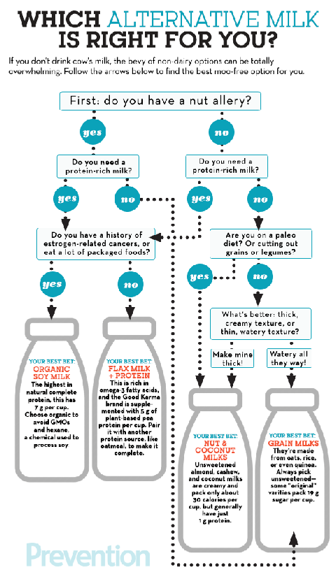 How do I choose the Best Non-Dairy Milk?