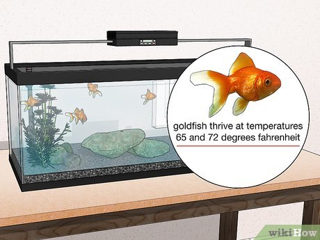 How do I keep my fish tank at 18 degrees?