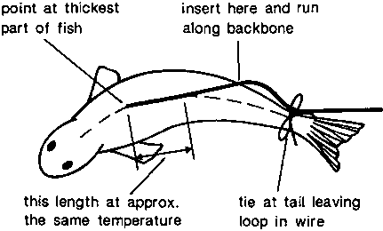 How do you check temperature of fish?