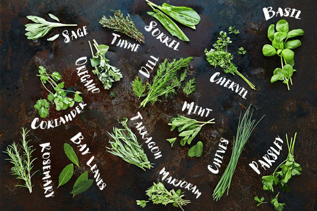 How do you choose herbs for cooking?