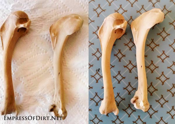 How do you clean chicken bones?