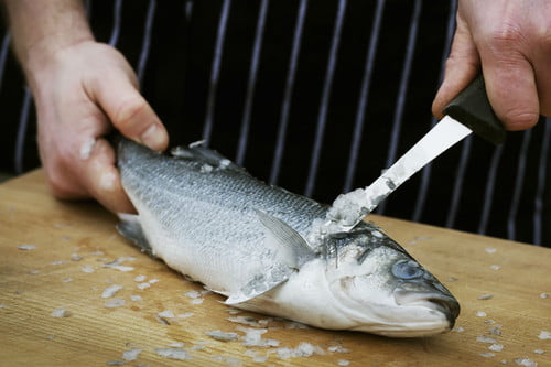 How do you clean fish fillets before cooking?