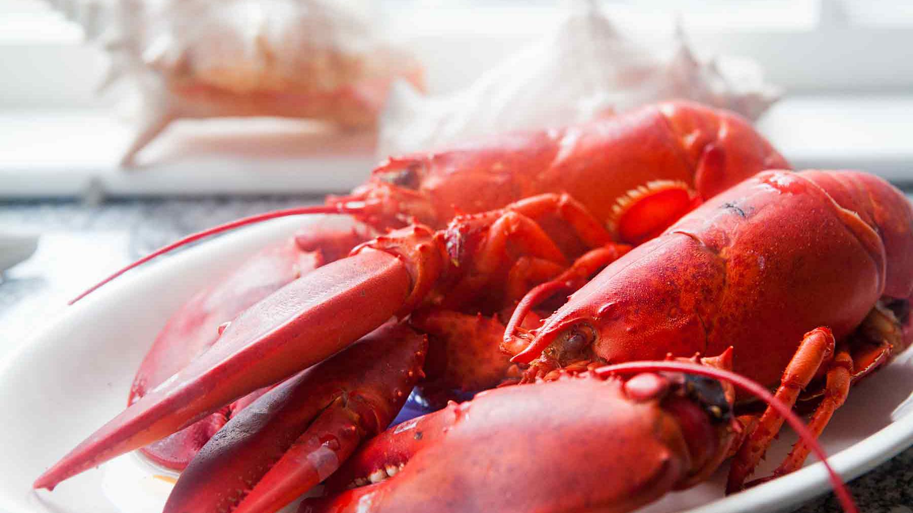 How do you cook a whole lobster?