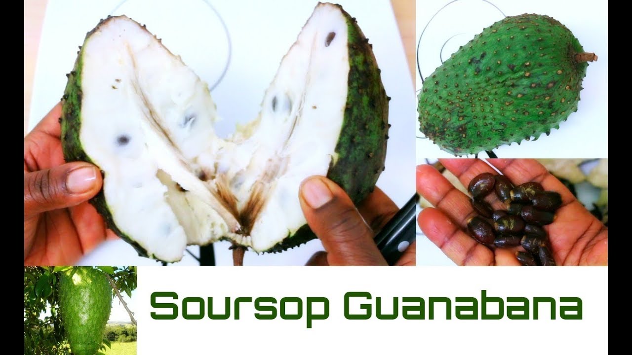 How do you cut soursop?