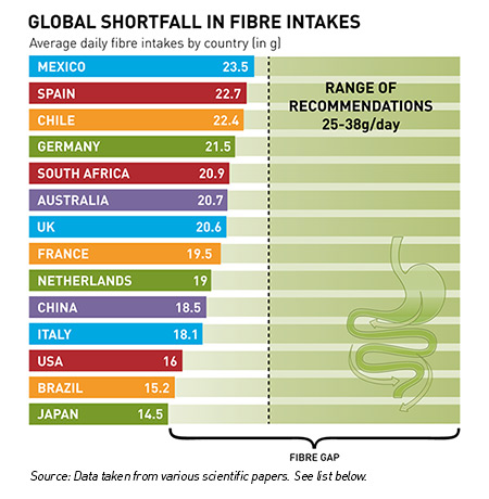 How do you determine fiber needs?