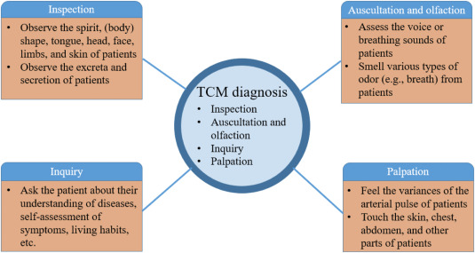 How do you diagnose disease in TCM?