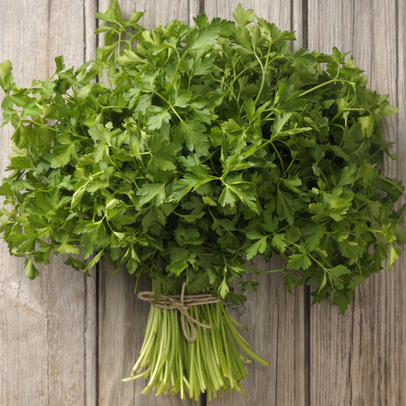 How do you dry and store parsley?