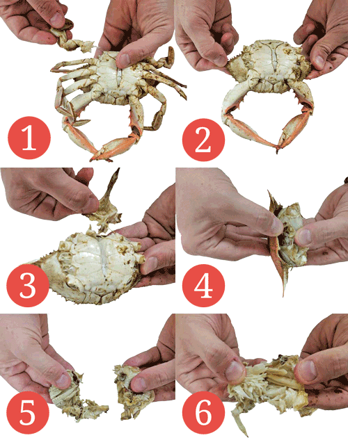 How do you eat crabs?