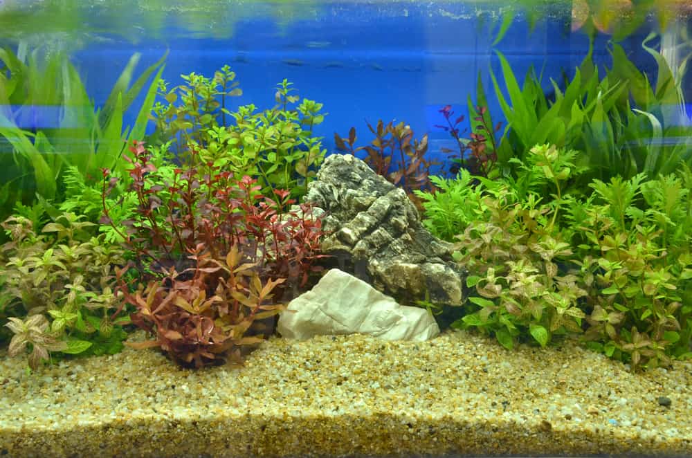 How do you fix hard water in a fish tank?