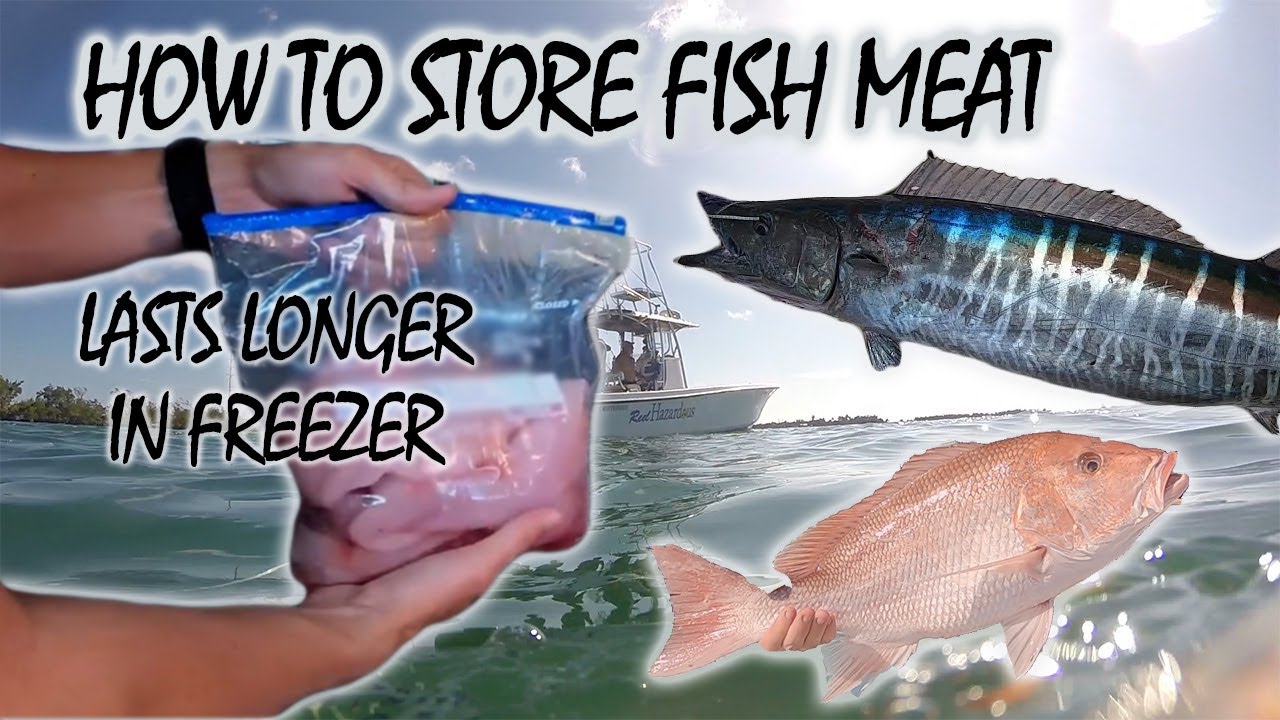 How do you freeze fish for later?