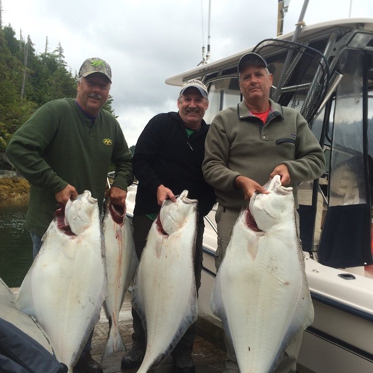 How do you hold halibut?