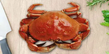 How do you keep Dungeness crab from freezing?