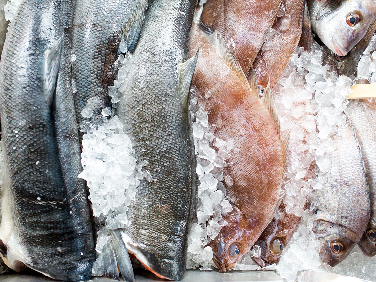 How do you keep seafood fresh in the fridge?