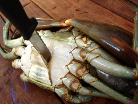 How do you kill blue crabs humanely?