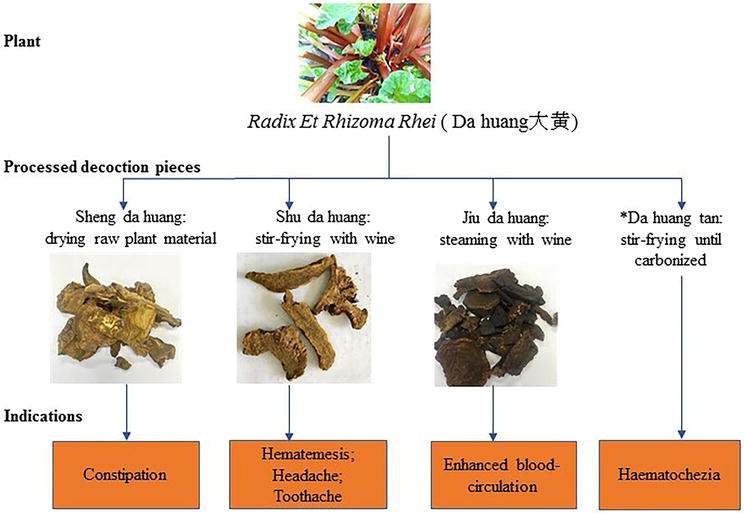 How do you make a TCM decoction?