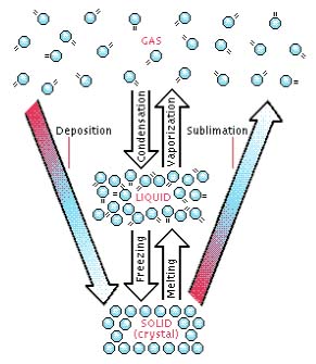 How do you process a freeze?