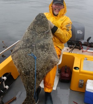 How do you reel a halibut?