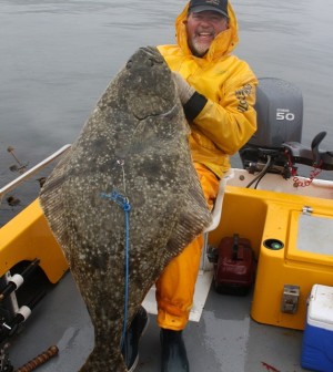 How do you reel a halibut?