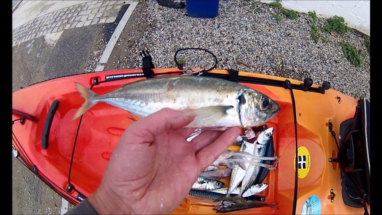 How do you reheat mackerel in the oven?