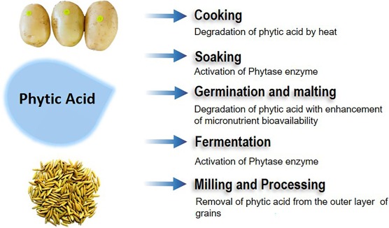 How do you remove phytates from food?