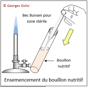 How do you solidify nutrient broth?