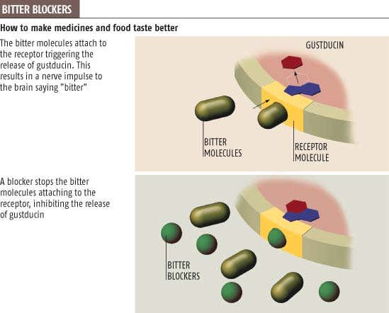 How do you stop the bitterness of antibiotics?