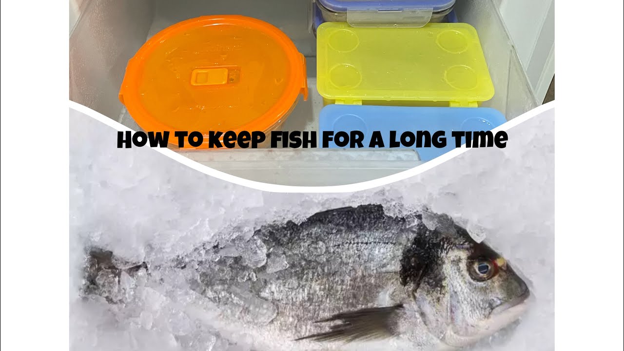 How do you store fish long term?