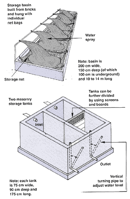 How do you store live fish?