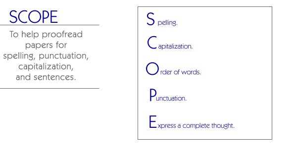 How do you use Scope in a sentence?